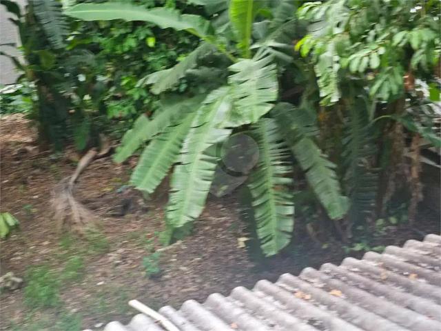 Terreno / Lote para Venda em Rio de Janeiro/RJ São Cristóvão