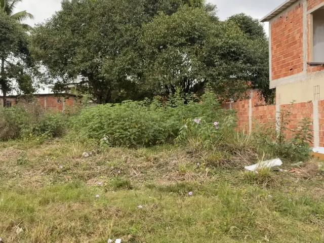Terreno / Lote para Venda em Rio de Janeiro/RJ Santa Cruz