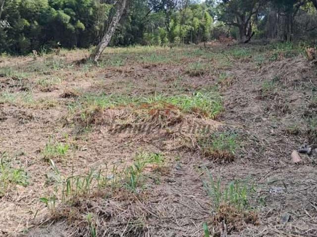 Terreno / Lote para Venda em Rio de Janeiro/RJ Tanque