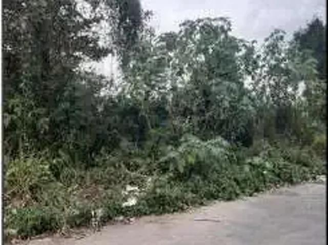Terreno / Lote para Venda em Rio de Janeiro/RJ Vargem Pequena