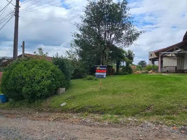 Terreno / Lote para Venda em Rio Negrinho/SC Cruzeiro