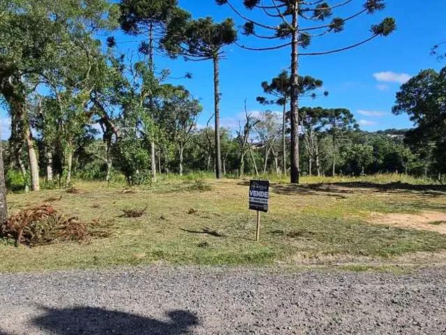Terreno / Lote para Venda em Rio Negrinho/SC Cruzeiro