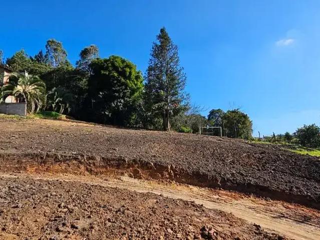 Terreno / Lote para Venda em Rio Negrinho/SC Cruzeiro
