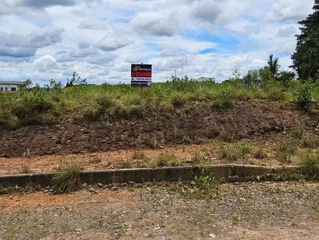 Terreno / Lote para Venda em Rio Negrinho/SC São Pedro