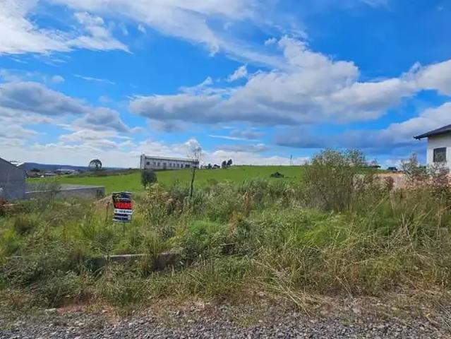 Terreno / Lote para Venda em Rio Negrinho/SC São Pedro