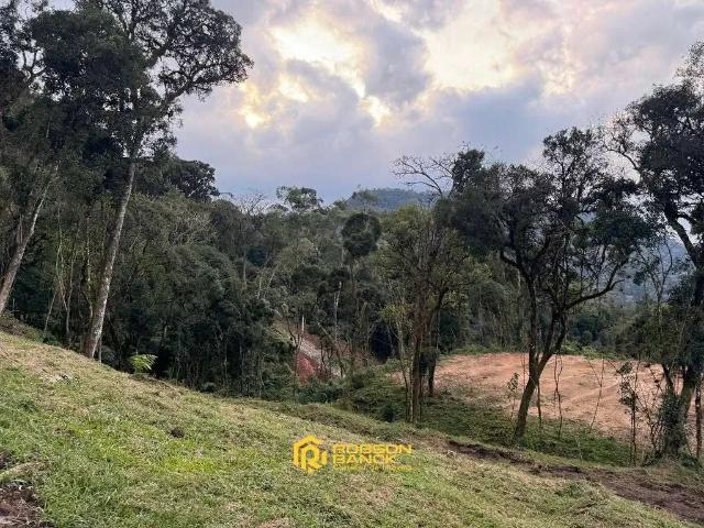 Terreno / Lote para Venda em Rio Rufino/SC Zona Rural