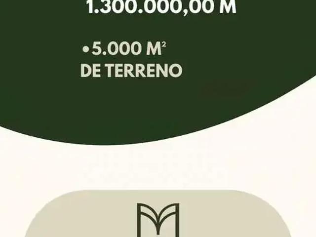 Terreno / Lote para Venda em Ribeirão Corrente/SP Centro