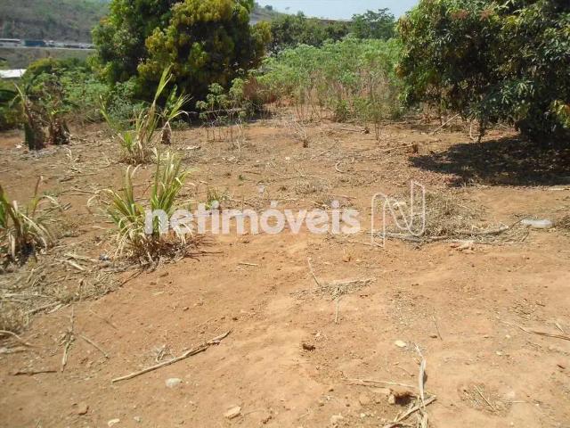 Terreno / Lote para Venda em Ribeirão das Neves/MG Vale da Prata