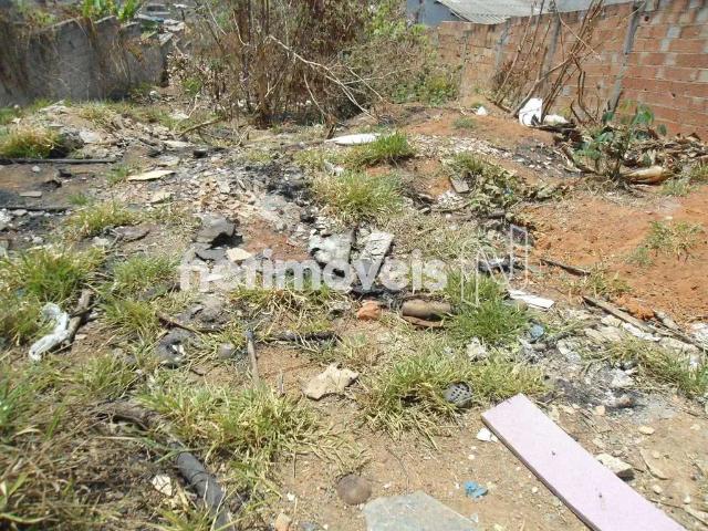 Terreno / Lote para Venda em Ribeirão das Neves/MG Vale da Prata