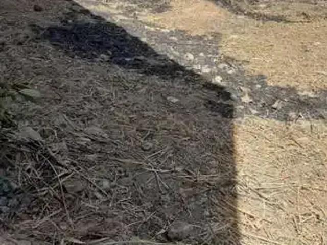 Terreno / Lote para Venda em Ribeirão das Neves/MG Veneza