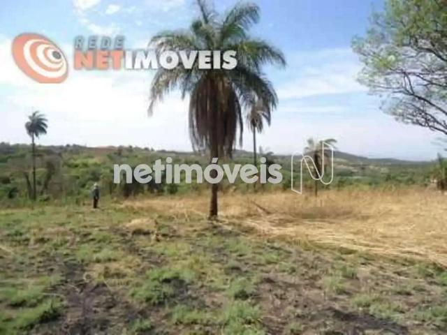 Terreno / Lote para Venda em Ribeirão das Neves/MG Vereda