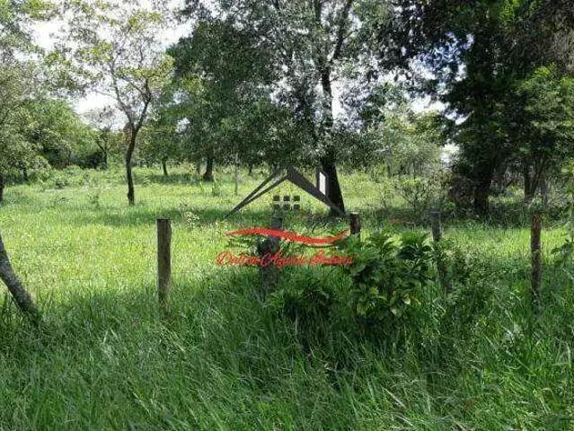 Terreno / Lote para Venda em Ribeirão das Neves/MG Vila Hortinha