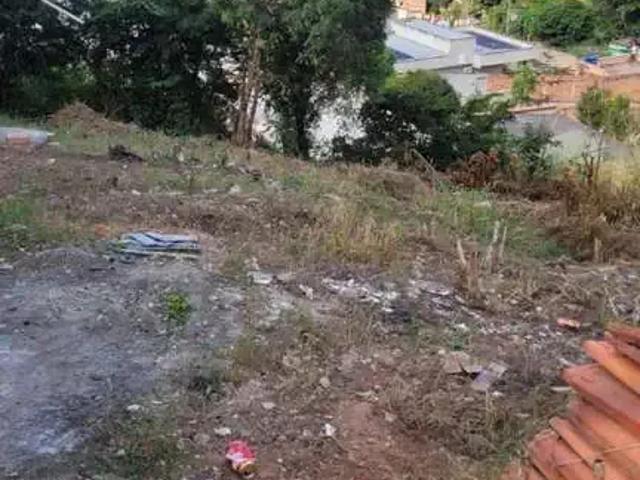 Terreno / Lote para Venda em Ribeirão das Neves/MG Alicante