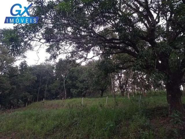 Terreno / Lote para Venda em Ribeirão das Neves/MG Areias de Baixo
