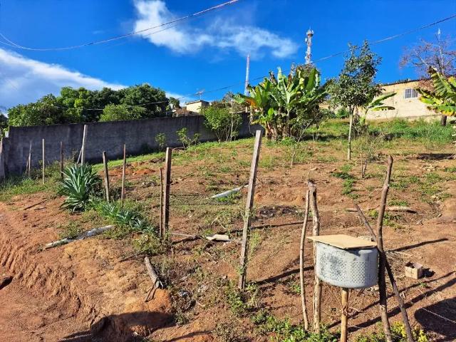 Terreno / Lote para Venda em Ribeirão das Neves/MG Florença