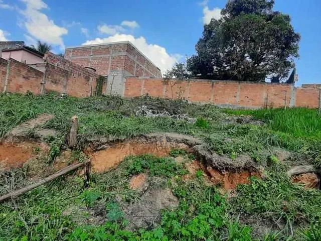Terreno / Lote para Venda em Ribeirão das Neves/MG Florença