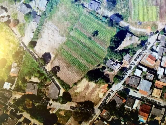 Terreno / Lote para Venda em Ribeirão das Neves/MG Justinópolis Distrito