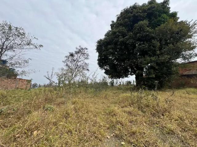 Terreno / Lote para Venda em Ribeirão das Neves/MG Rosaneves