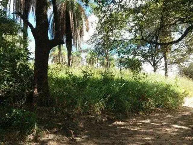 Terreno / Lote para Venda em Ribeirão das Neves/MG San Marino
