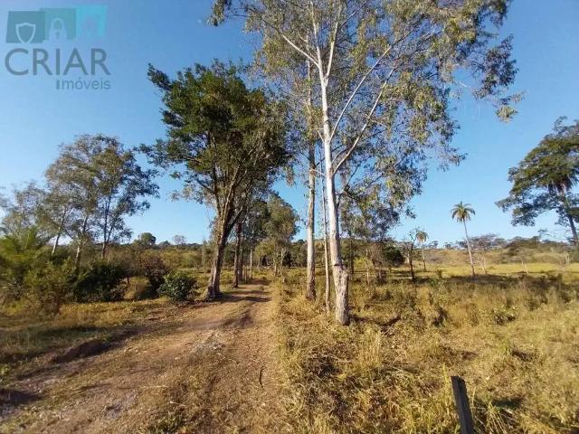 Terreno / Lote para Venda em Ribeirão das Neves/MG Savassi 1 Quartos