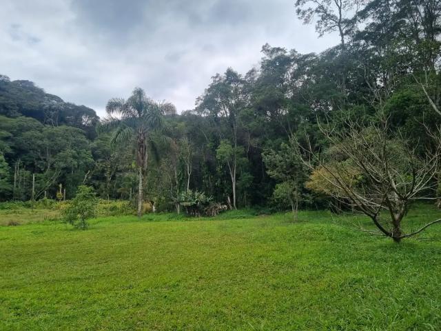 Terreno / Lote para Venda em Ribeirão Pires/SP Centro de Ouro Fino Paulista