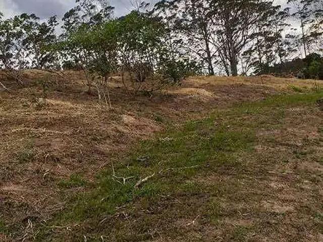 Terreno / Lote para Venda em Ribeirão Pires/SP Quarta Divisão