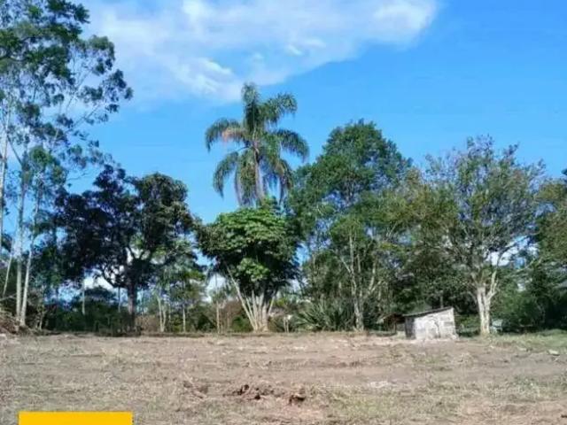 Terreno / Lote para Venda em Ribeirão Pires/SP Quarta Divisão