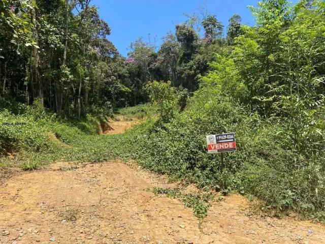 Terreno / Lote para Venda em Ribeirão Pires/SP Roncon