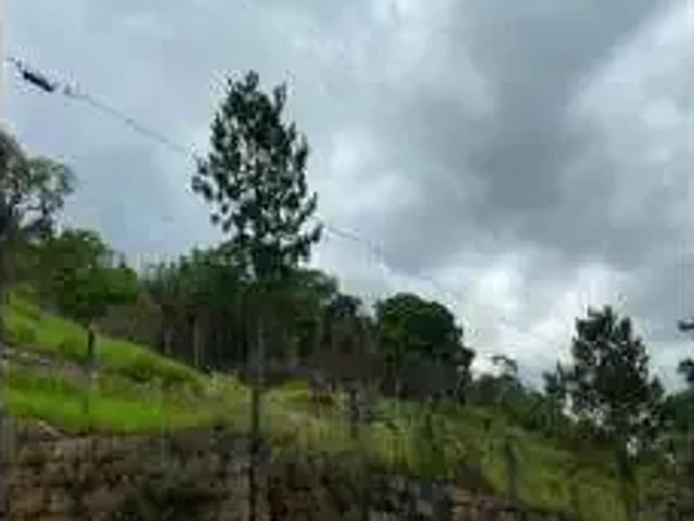 Terreno / Lote para Venda em Ribeirão Pires/SP Santa Luzia