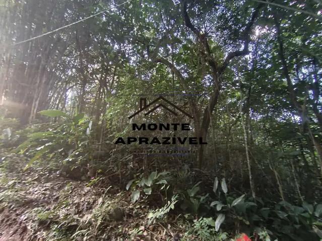 Terreno / Lote para Venda em Ribeirão Pires/SP Vila Pereira Barreto