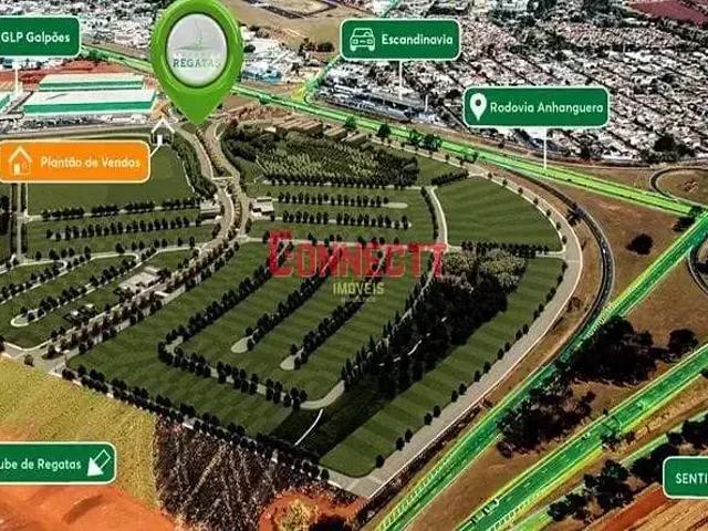 Terreno / Lote para Venda em Ribeirão Preto/SP N 19