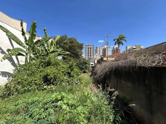 Terreno / Lote para Venda em Ribeirão Preto/SP Nova Ribeirânia