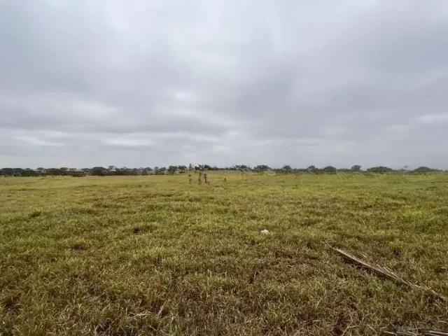 Terreno / Lote para Venda em Ribeirão Preto/SP Avelino Alves Palma