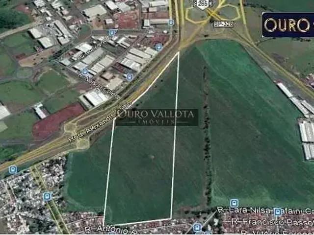 Terreno / Lote para Venda em Ribeirão Preto/SP Adelino Simioni