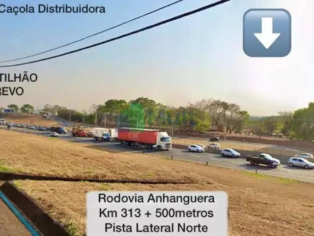 Terreno / Lote para Venda em Ribeirão Preto/SP Adelino Simioni