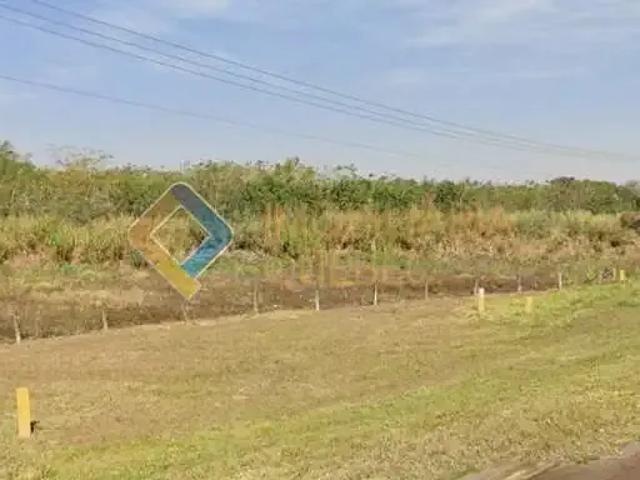 Terreno / Lote para Venda em Ribeirão Preto/SP Adelino Simioni