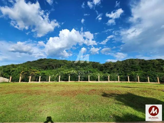 Terreno / Lote para Venda em Ribeirão Preto/SP Alphaville