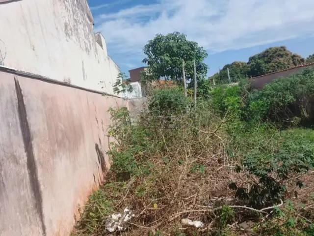 Terreno / Lote para Venda em Ribeirão Preto/SP Alto da Boa Vista