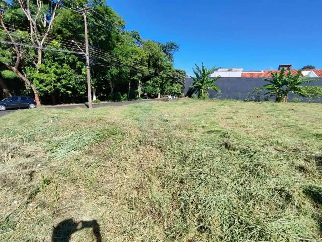 Terreno / Lote para Venda em Ribeirão Preto/SP Alto da Boa Vista