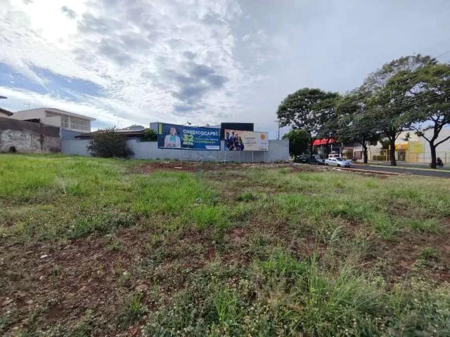 Terreno / Lote para Venda em Ribeirão Preto/SP Alto da Boa Vista