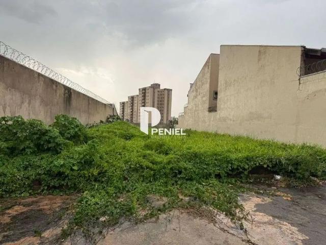 Terreno / Lote para Venda em Ribeirão Preto/SP Alto da Boa Vista