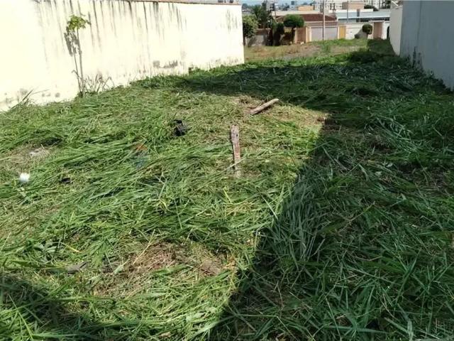 Terreno / Lote para Venda em Ribeirão Preto/SP Alto da Boa Vista