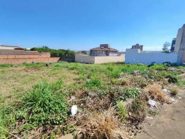 Terreno / Lote para Venda em Ribeirão Preto/SP Alto da Boa Vista