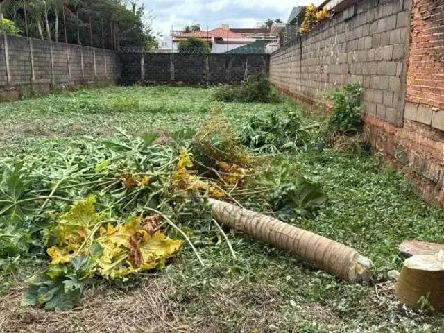 Terreno / Lote para Venda em Ribeirão Preto/SP Alto da Boa Vista