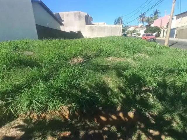 Terreno / Lote para Venda em Ribeirão Preto/SP Alto da Boa Vista