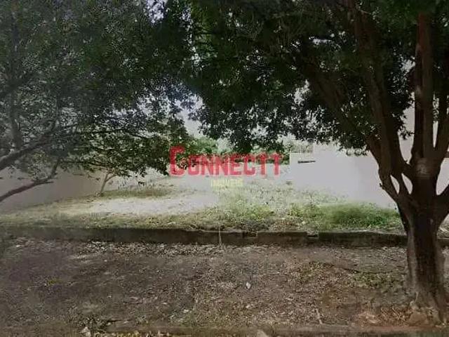Terreno / Lote para Venda em Ribeirão Preto/SP Alto da Boa Vista