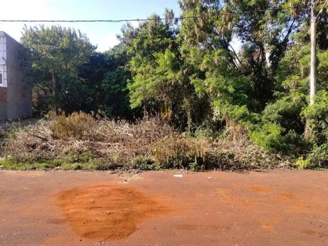 Terreno / Lote para Venda em Ribeirão Preto/SP Alto da Boa Vista