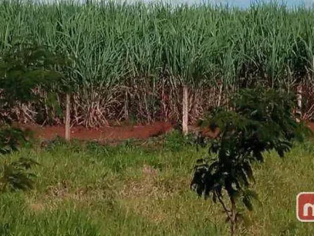 Terreno / Lote para Venda em Ribeirão Preto/SP Área Rural de Ribeirão Preto