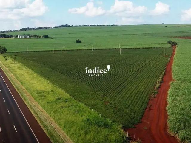 Terreno / Lote para Venda em Ribeirão Preto/SP Área Rural de Ribeirão Preto