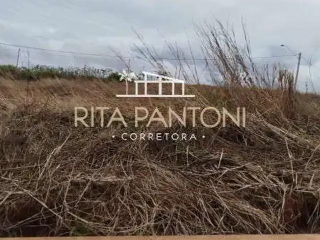 Terreno / Lote para Venda em Ribeirão Preto/SP Bonfim Paulista